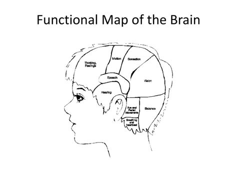 pushpak bhattacharyya computer science and engineering department ppt download
