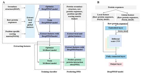 A Deep Learning And Xgboost Based Method For Predicting Protein Protein