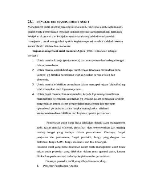 Management Audit Pdf