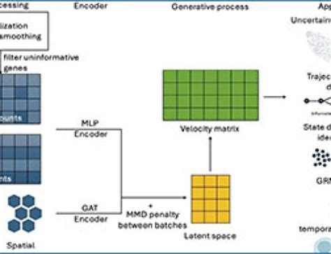 Scspace Reconstruction Of The Cell Pseudo Space From Single Cell Rna Sequencing Data Rna Seq