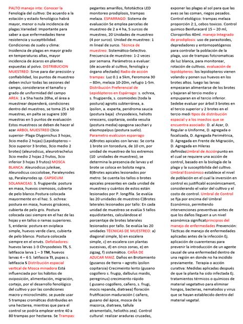 Mipe Pdf Tecnología