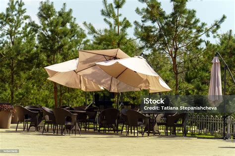 숲의 배경에 사람이없는 태양의 우산이있는 거리 레스토랑 레스토랑에 대한 스톡 사진 및 기타 이미지 레스토랑 우산 0명 Istock