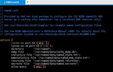 linux环境中dns服务的安装与配置 是一个专业的科技资讯网站