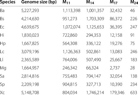 Number Of Minimal Absent Words Of Lengths 11 14 17 And 24 In The