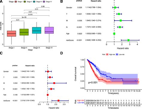 Predictive Value Of The Fatty Acid Metabolism Related Prognostic Risk Download Scientific