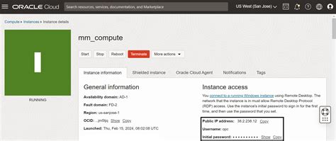 Access Oci Generative Ai Service Programmatically Using Ruby On Rails