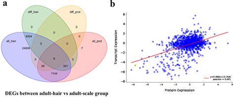 Combined Analysis Of Transcriptome And Proteome A Expression Of