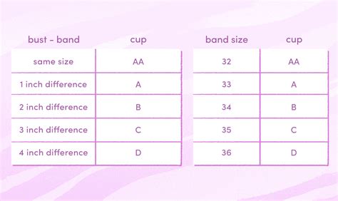 How To Check Bra Cup Size Permissioncommission