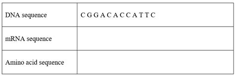 Solved For The Dna Sequence Below Indicate What The Mrna