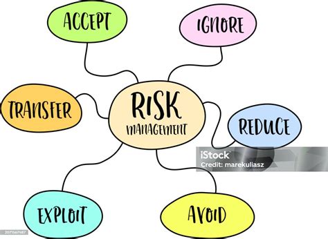 Risk Management Flow Chart Ignore Accept Avoid Reduce Transfer And Exploit Strategies Vector