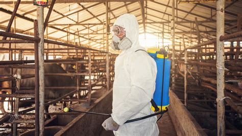 Okay Here Are A Few Options For An Seo Meta Title For The Post Blue