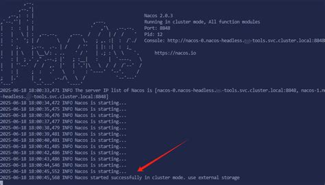 【排坑指南】mysql初始化后,nacos与微服务无法连接??真成运维 【排坑指南】mysql初始化后,nacos与微服务无法连接??真成运维