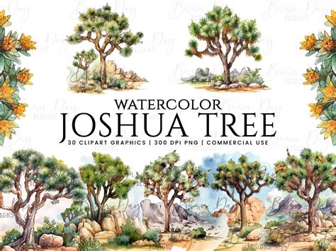 Watercolor Joshua Tree Clipart Bundle Graphic By Busydaydesign
