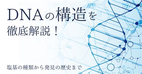 生物基礎｜高校生向け受験応援メディア「受験のミカタ」