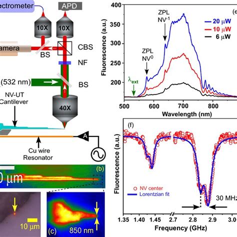 A Schematic Setup For Fluorescence Imaging Fluorescence