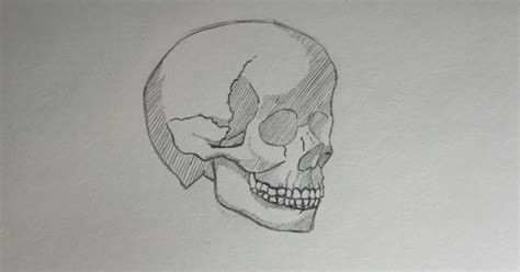 what is crosshatching technique examples and exercises enhance drawing