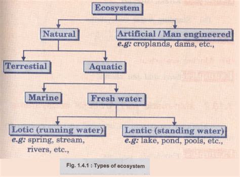 Ecosystems Structure And Function Definitions Scope Importance Classification