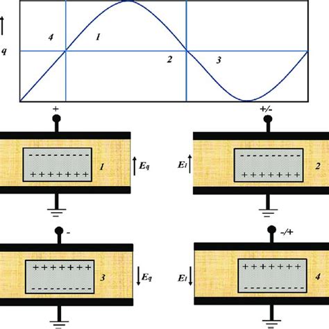 pd example with corresponding prpd pattern a internal pd b surface