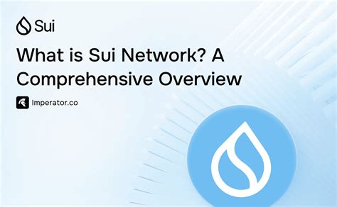 What Is Sui Blockchain Everything You Need To Know