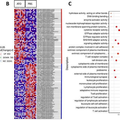 Lung Rna Seq Data Analysis A Volcano Plot Representation Of Download Scientific Diagram