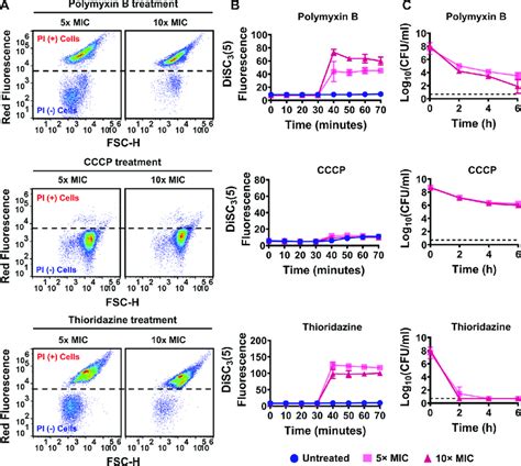 Proton Motive Force Pmf Inhibitors Increased Membrane Permeability