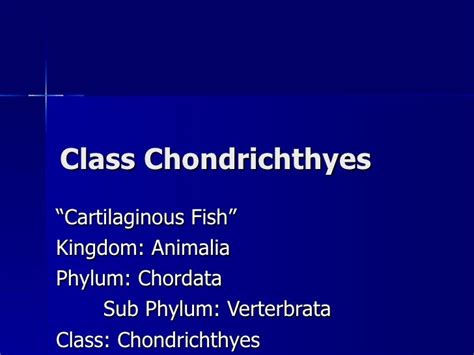 17 Class Chondrichthyes Notes