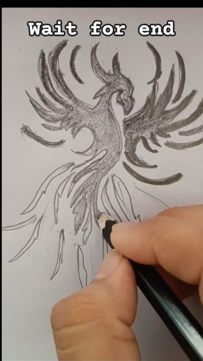 Trying To Draw Pheonix But End Up With 🫩🫩 Shortsfeed Art Shorts Youtube