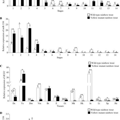 Phylogenetic Tree Generated Using Maximum Likelihood Algorithm From The
