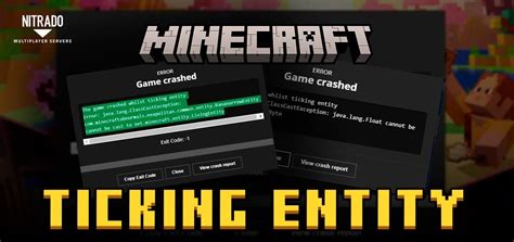 Minecraft Ticking Entity Crash Beheben Nitrado