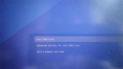 实机安装kalilinux和windows双系统（有图详细介绍）kali双系统安装 Csdn博客