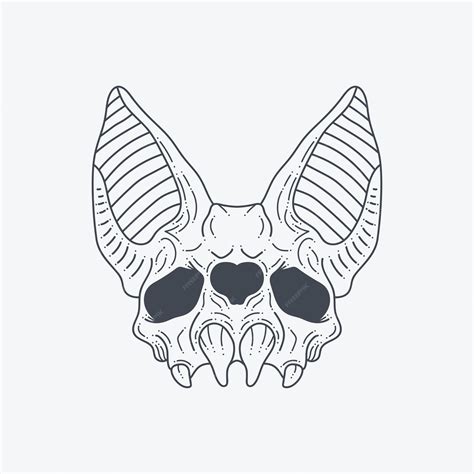 Premium Vector Vampire Bat Skull Drawing