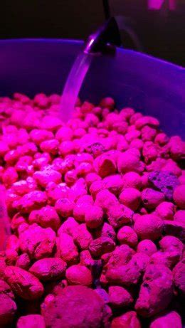 Gallon Aquaponics System With Arduino Monitoring Trybotics