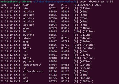 Ebpf例程——高级框架示例