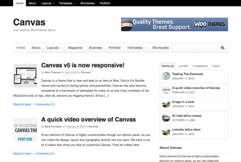 Thème Wordpress Canvas Woothemes