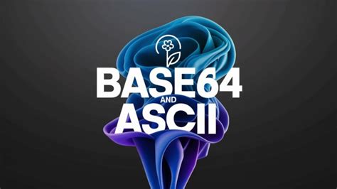 Demystifying Base64 Vs ASCII A Complete Encoding Comparison Mutant Mail