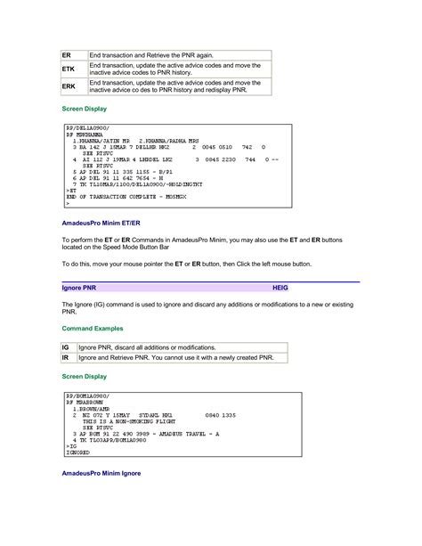 Amadeusguidepdf