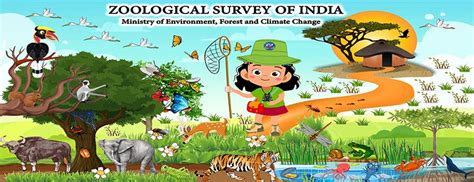 Biosrishti Virtual Internship On In Silico Biology 17th May To 9th June 2021 5th Batch