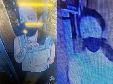 🔎 Police Seek Female Suspect In East Hilo Theft Investigation Big