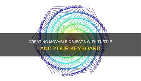 Creating Movable Objects With Turtle And Your Keyboard Petshun