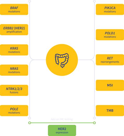 Colorectal Cancer Testing For Oncologists Biomarker Testing