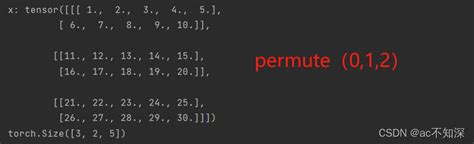 Torch中permute函数用法补充内容（矩阵维度变化详细过程）torch Permute Csdn博客