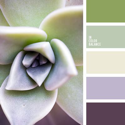 темно-сливовый цвет | IN COLOR BALANCE