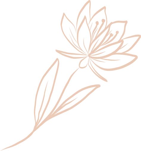 Mazetti The More Hotel