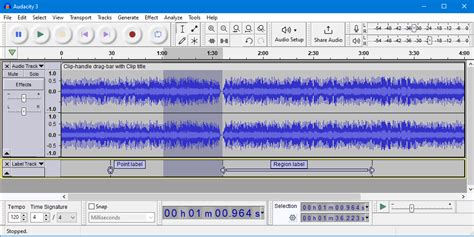Themes Audacity Manual