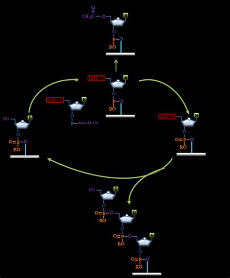 4 Dna Synthesis By Phosphoramidite Chemistry Download Scientific Diagram