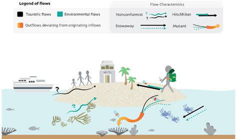 Interconnected Environmental And Tourism Flows In The Coastal Marine