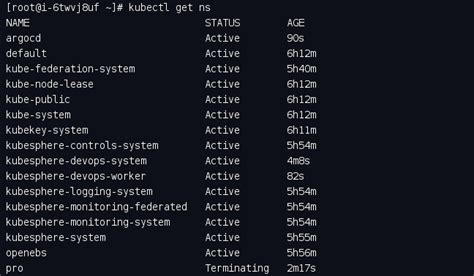 K8s强制删除namesapce 文十七 博客园