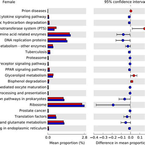 Kegg Metabolic Function Prediction In Male And Female Note Red And Download Scientific