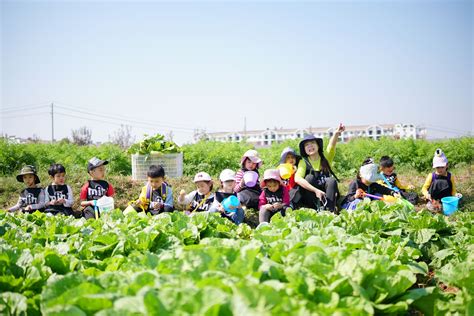 果蔬采摘园 观赏 大山谷图库